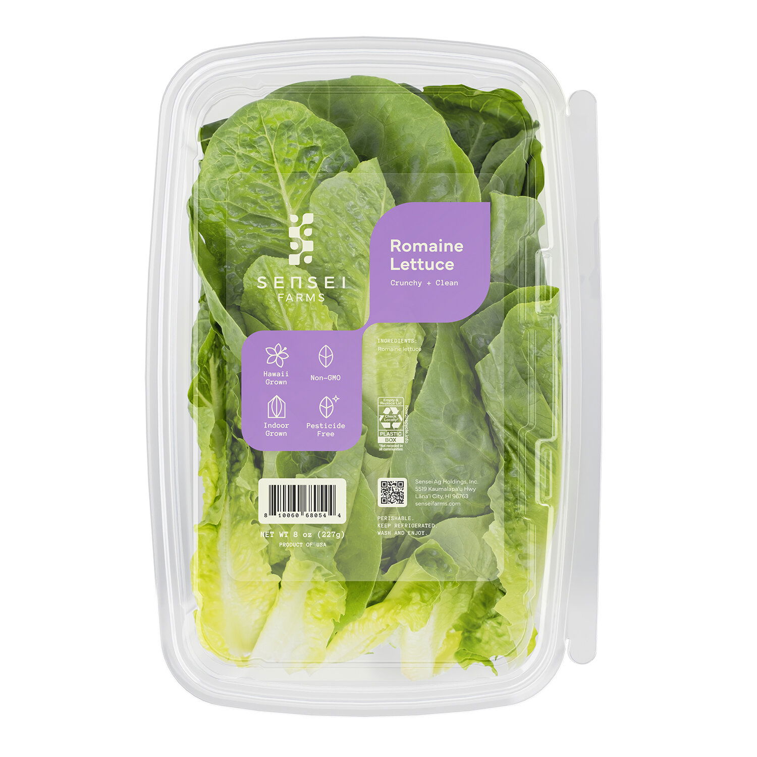 Romaine Lettuce Packaged